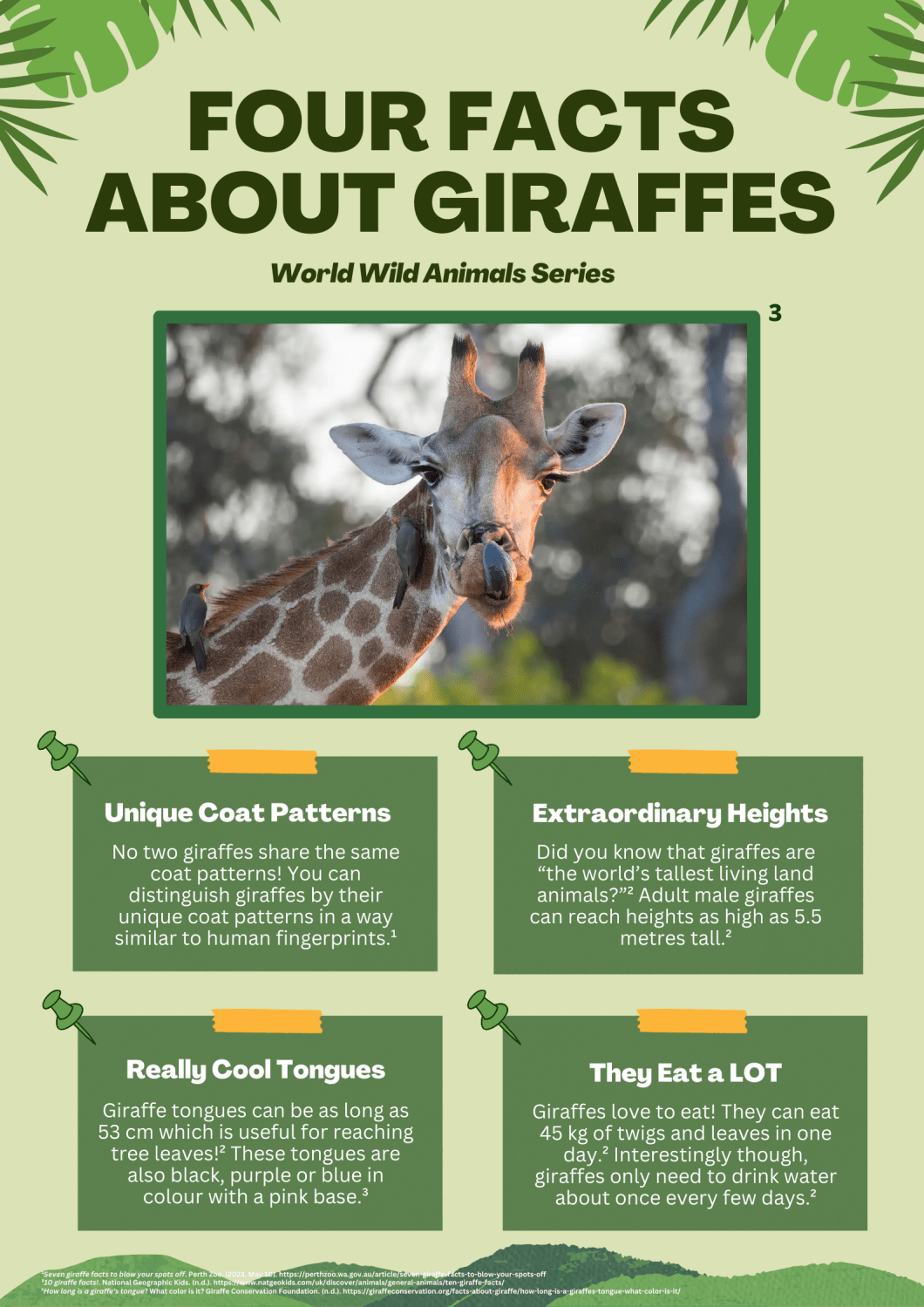 Four Facts About Giraffes – World Wild Animals Series – SCIFAA