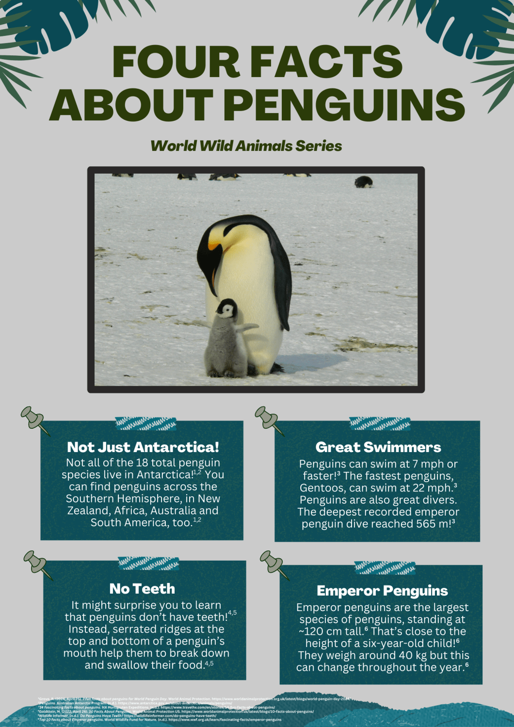 Four Facts About Penguins – World Wild Animals Series – SCIFAA