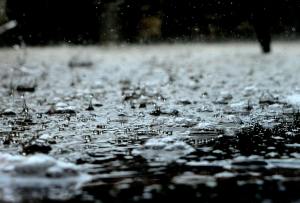 Do You Know the Names of These 50 Phobias? Let’s Find Out! – SCIFAA