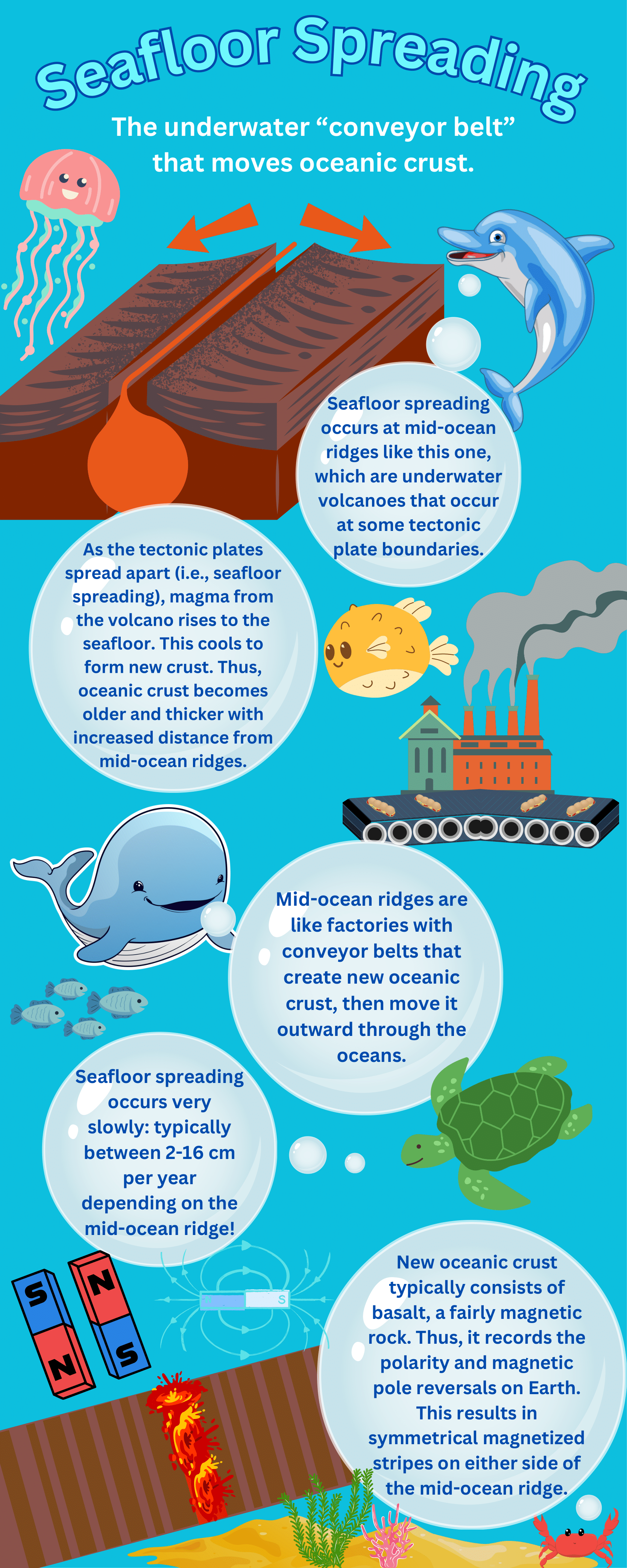 What is Seafloor Spreading? – SCIFAA