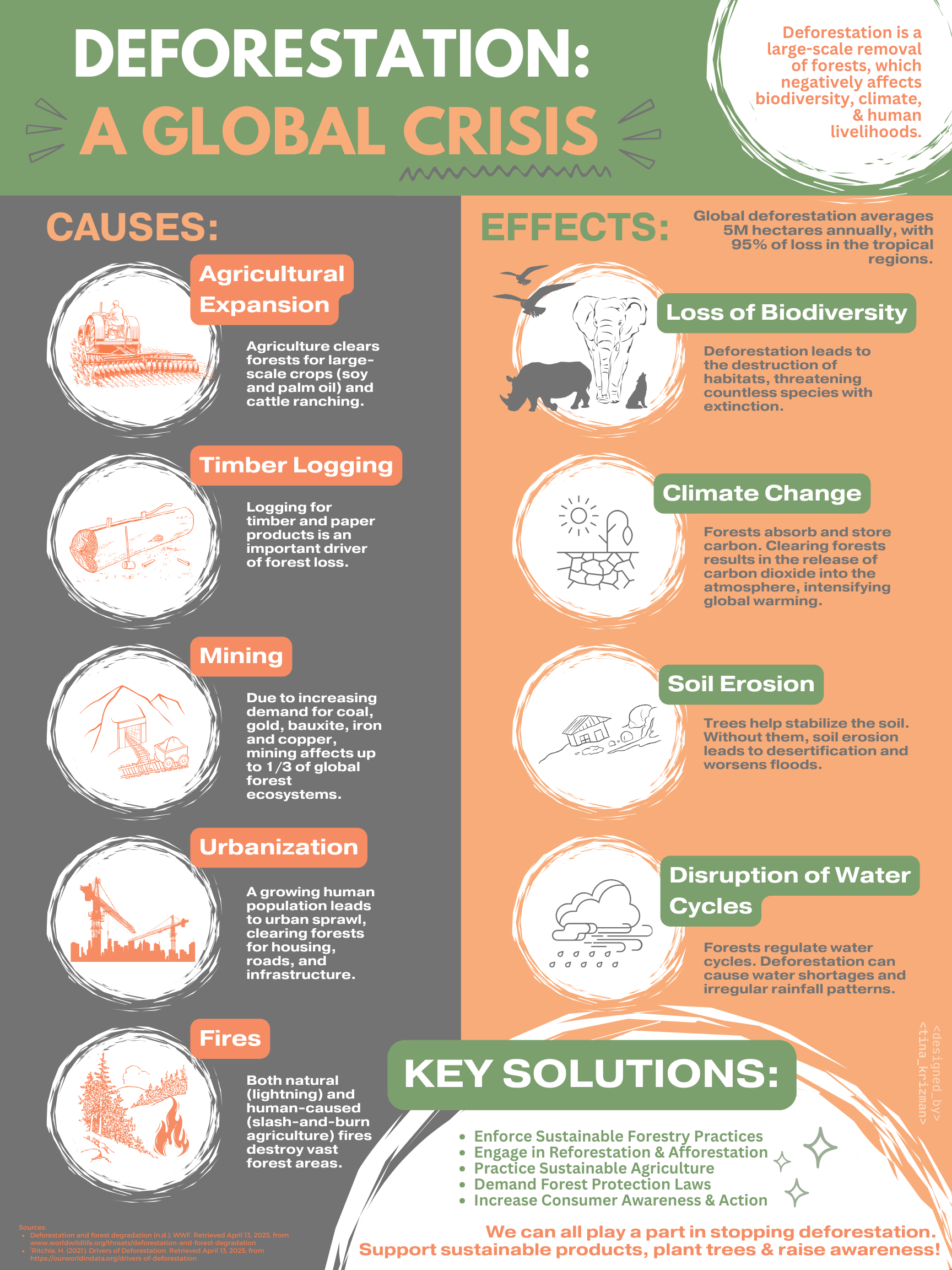 Deforestation: a Global Crisis – SCIFAA