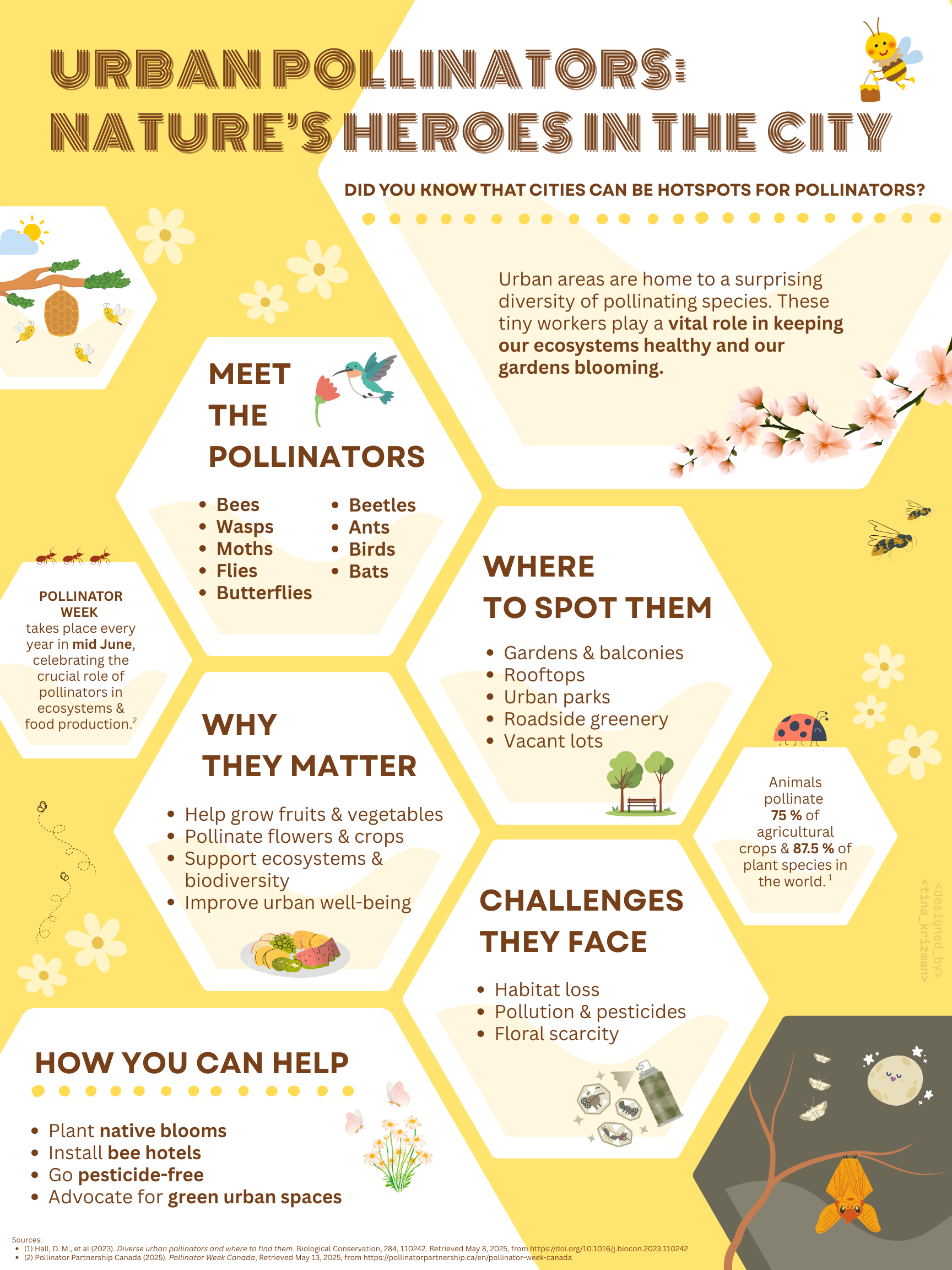 Infographics – SCIFAA